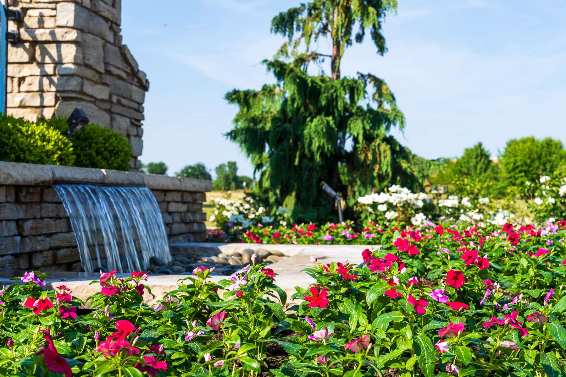3 Tips for Seasonal Color on Commercial Landscapes in Greater Chicago