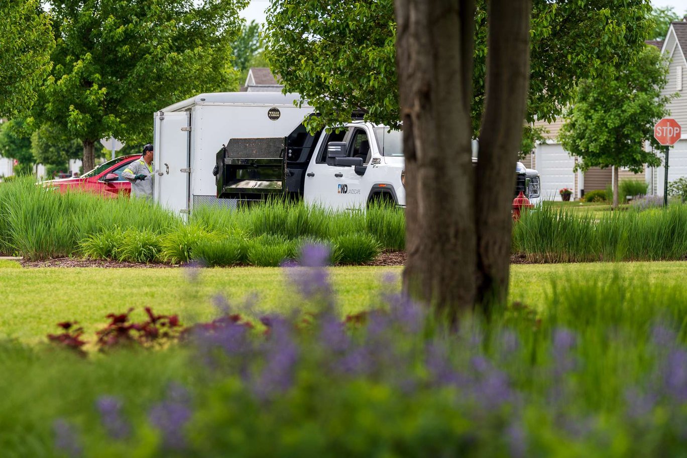 Rooted in Chicago: 5 Native Plants for Sustainable Commercial Landscapes