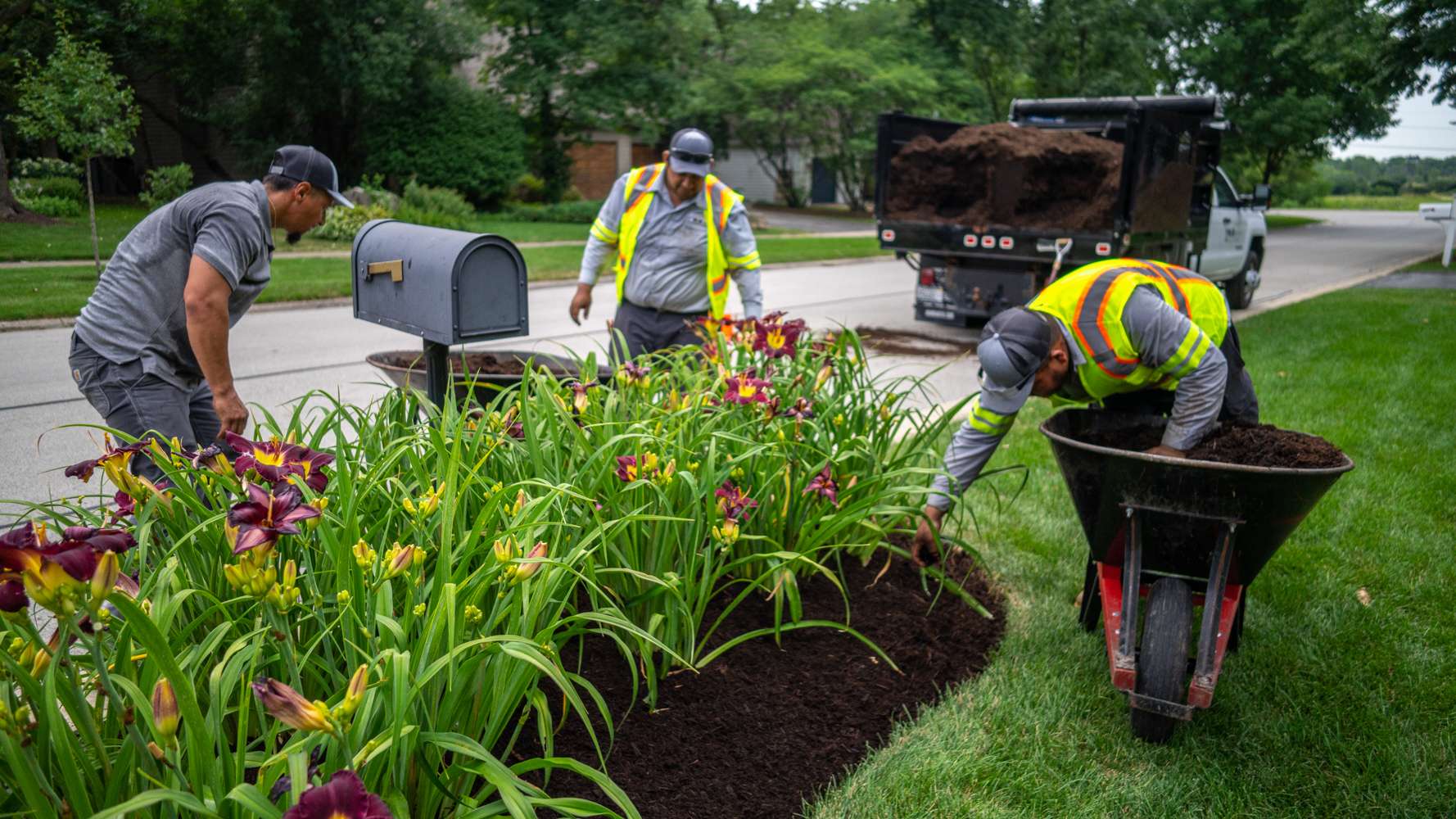 Stones vs. Mulch in Landscaping: Pros & Cons of Each