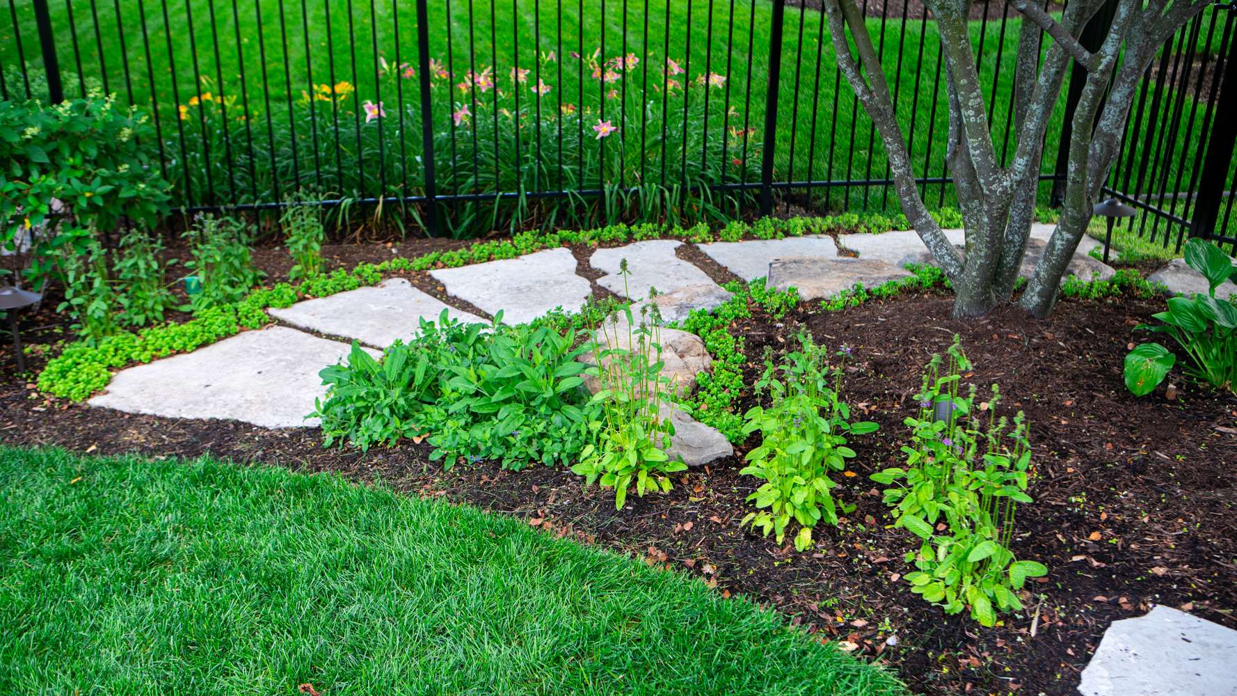 Stones vs. Mulch in Landscaping: Pros & Cons of Each
