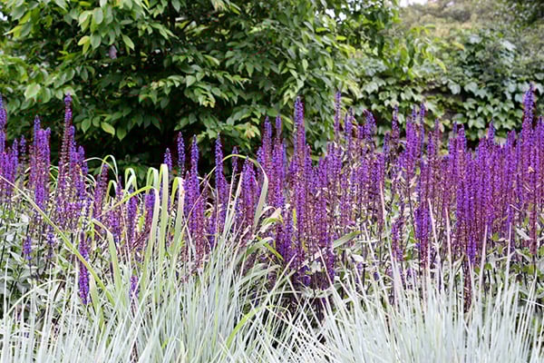 Fall Landscaping Projects for Commercial Properties in Chicago