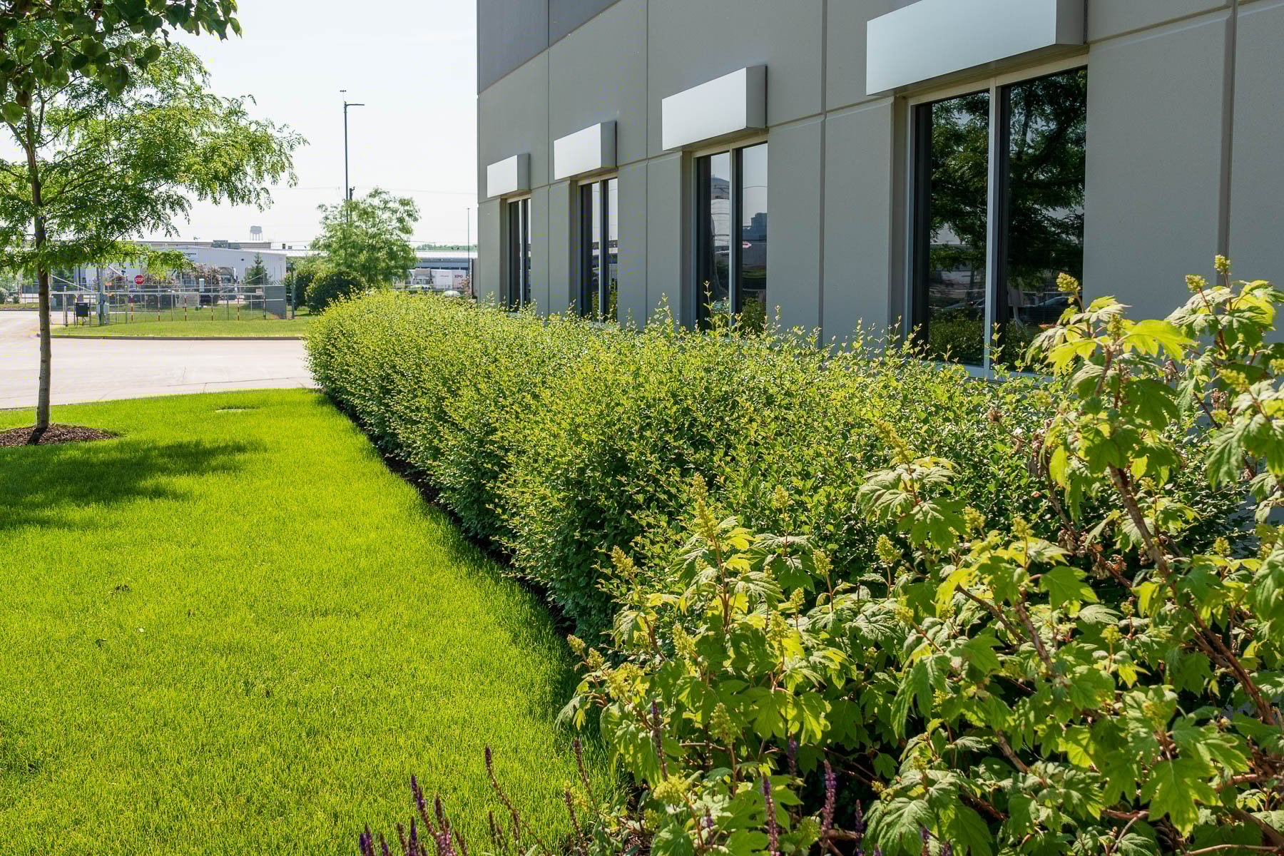3 Landscaping Ideas for Industrial Buildings in Greater Chicago