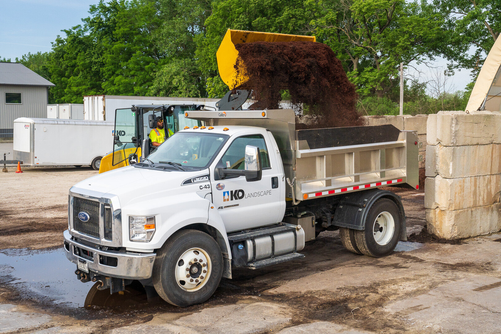 Month-by-Month Tree & Shrub Care Calendar for Greater Chicago Landscapes