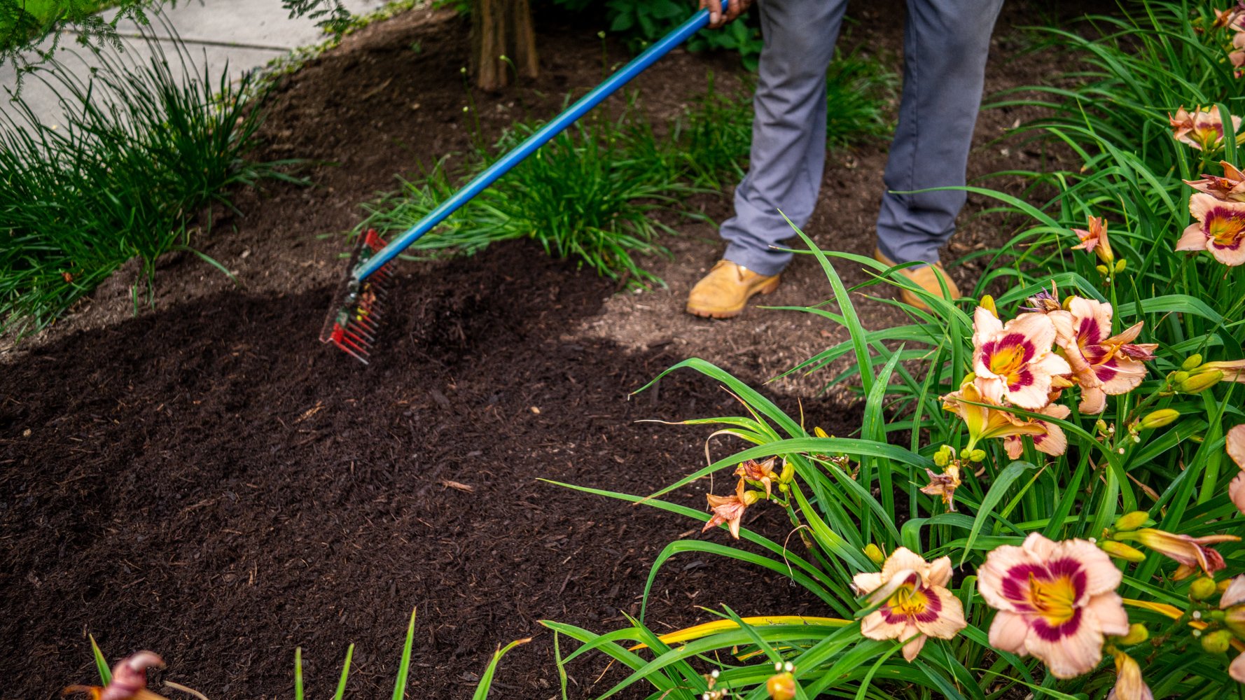 Your Weekly Commercial Landscape Maintenance Checklist for Greater Chicago