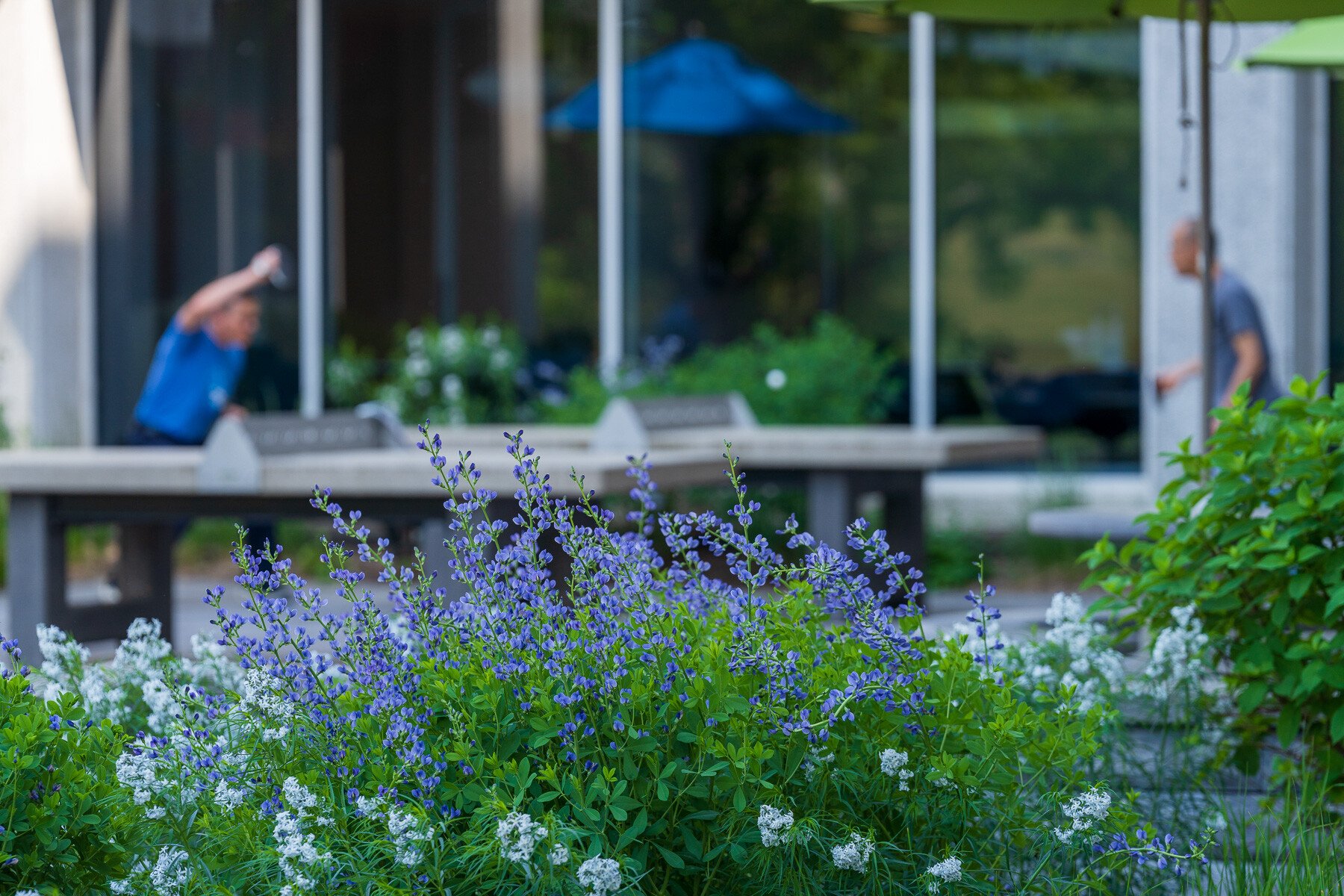 How Landscape Construction Can Help Your Corporate Campus Stand Out