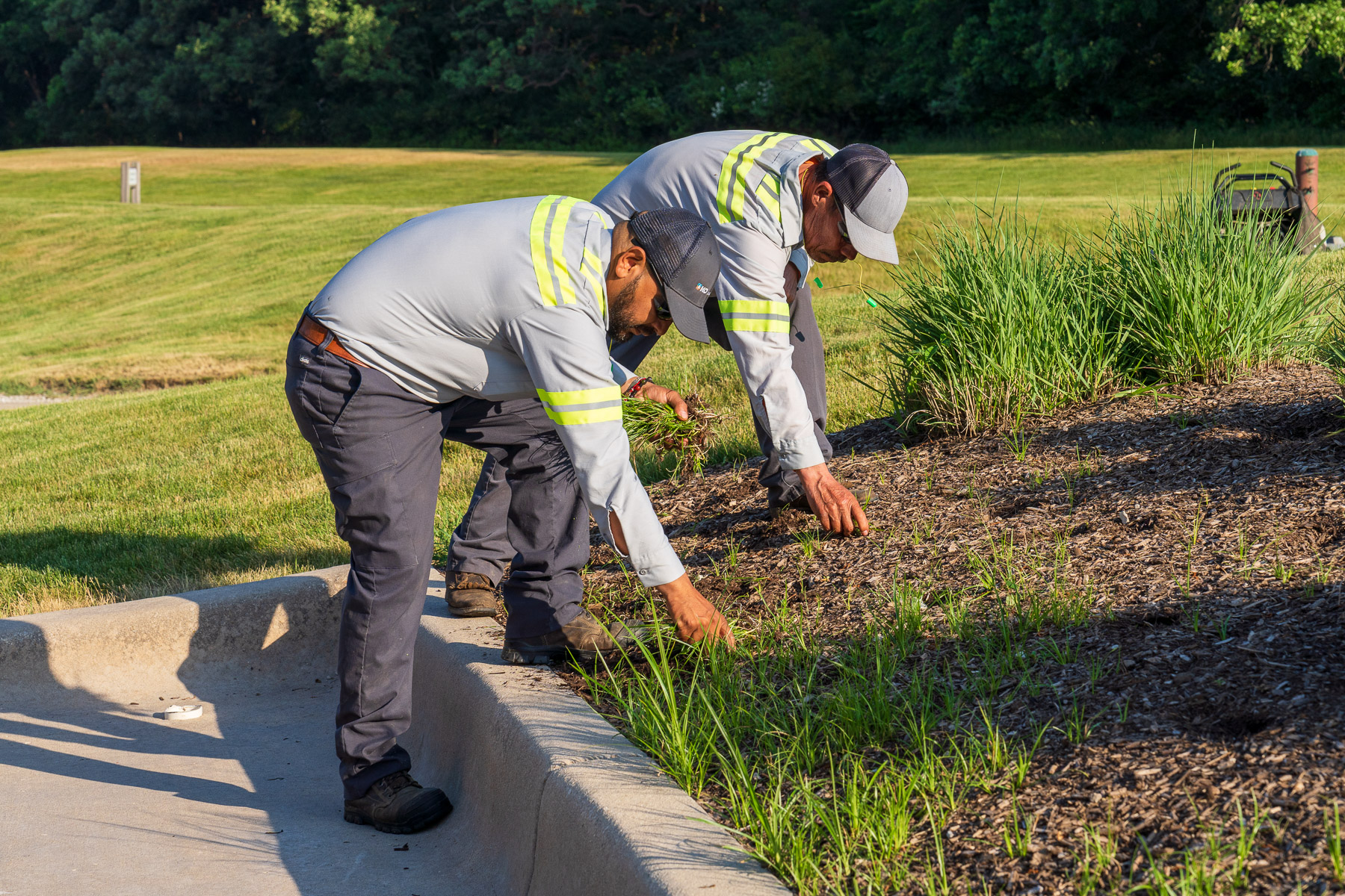 Commercial Landscape Maintenance in Greater Chicago | KD Landscape